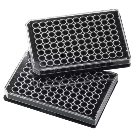 Lab Consumables, Chemicals & Equipment from Dawn Scientific